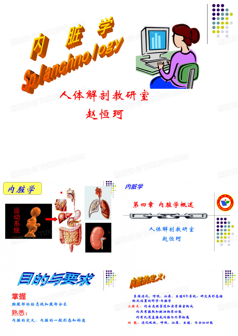 人体解剖学内脏学PPT模板下载 编号qazmyzob 熊猫办公