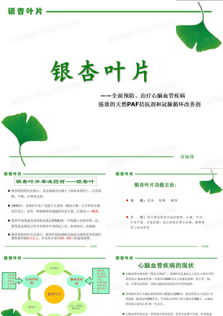 银杏叶药理介绍PPT模板下载 编号qwnrgown 熊猫办公