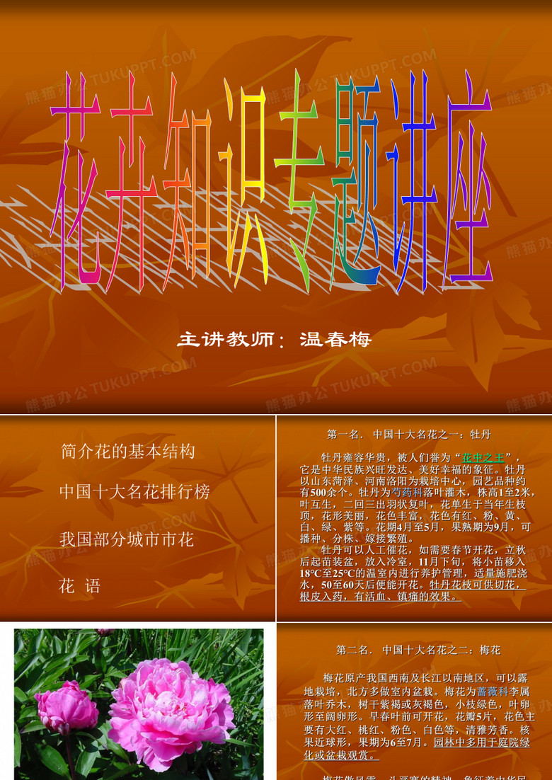 中国十大名花排行PPT模板下载 编号lozmbxzx 熊猫办公