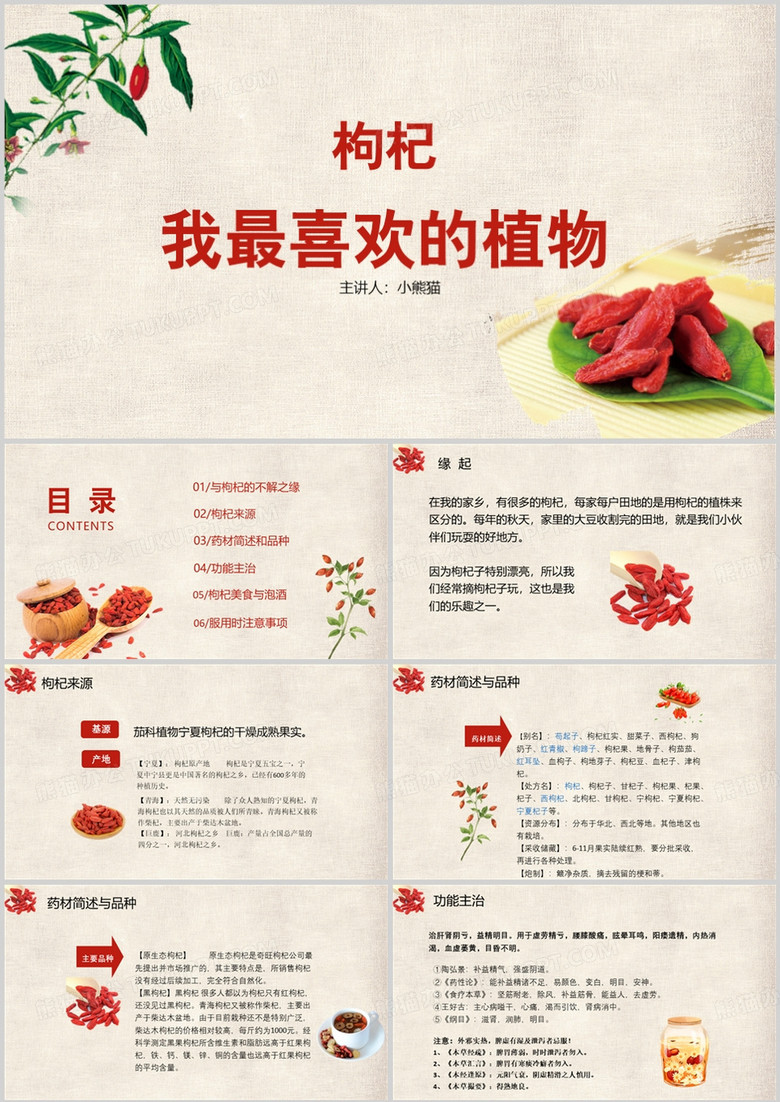 我最喜欢的植物枸杞PPT模板下载 熊猫办公