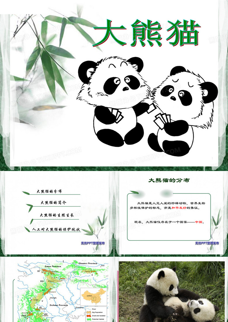 认识大熊猫PPT模板下载 编号qwnxabdo 熊猫办公