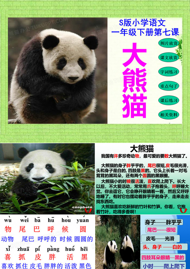 大熊猫1PPT模板下载 编号lrkozjej 熊猫办公