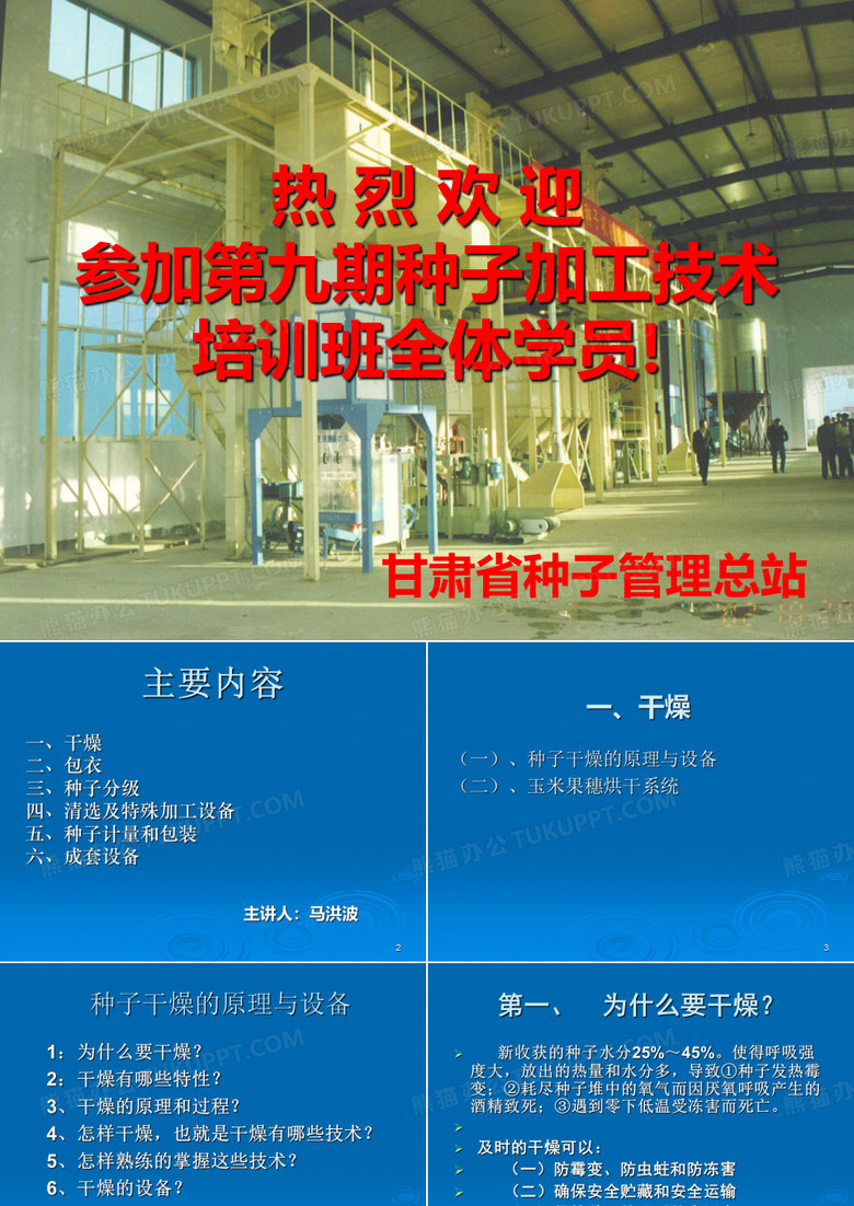 玉米种子加工PPT模板下载 编号lrwadwew 熊猫办公