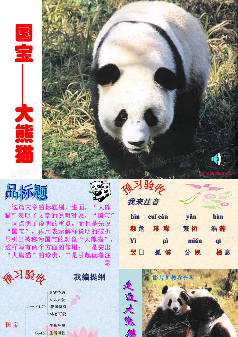 国宝大熊猫PPT模板下载 编号qzvzbkxa 熊猫办公