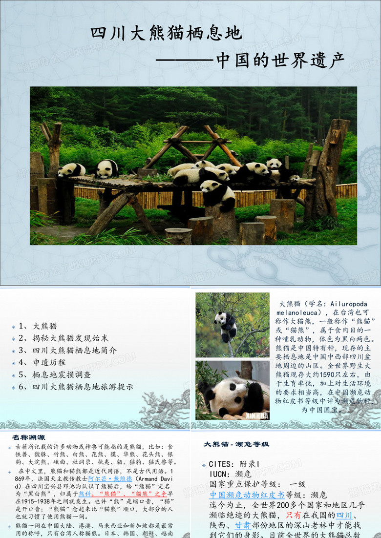 中国历史文化遗产大熊猫 PPT模板下载 编号lgjeayvo 熊猫办公