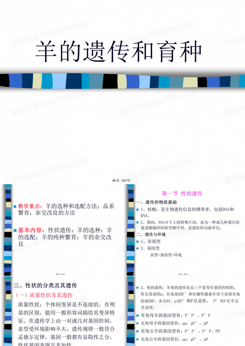 羊的遗传和育种PPT模板下载 编号lkdzymjy 熊猫办公