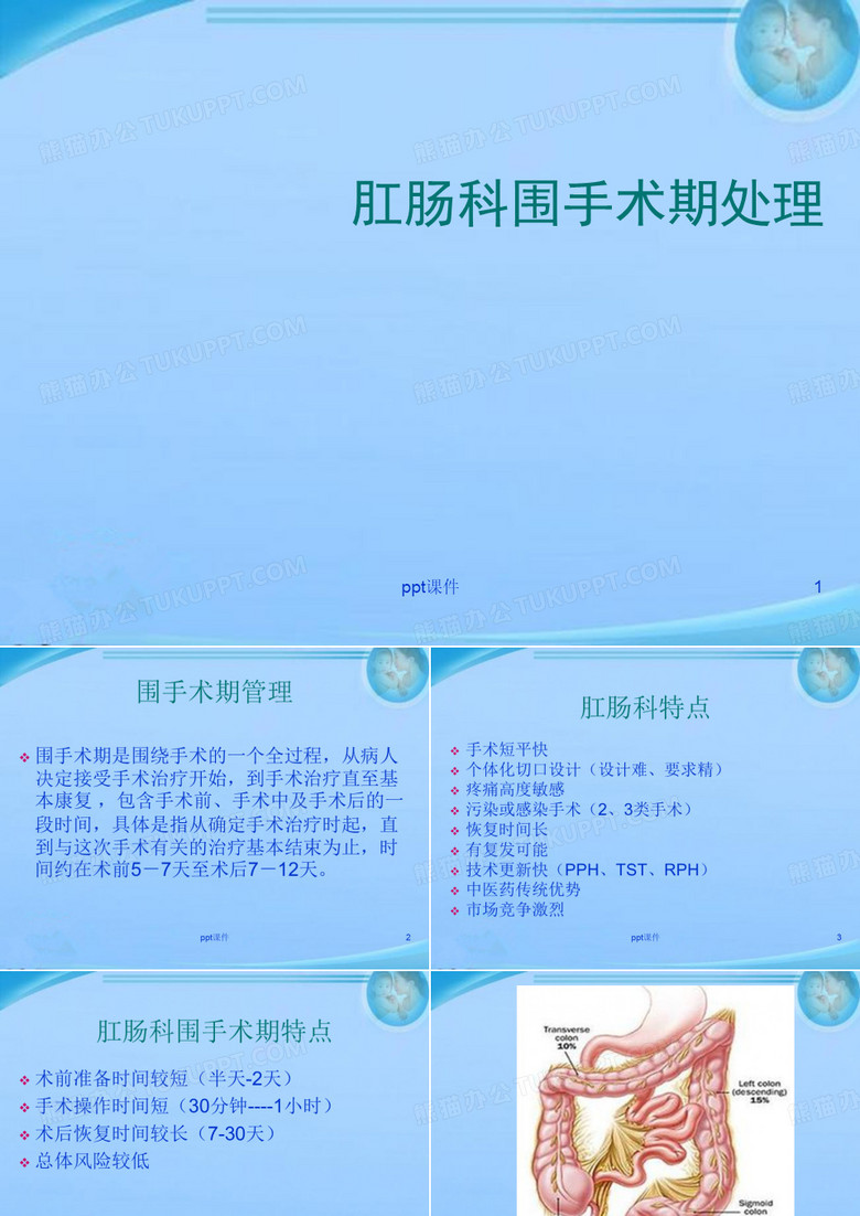 肛肠科围手术期处理肛肠科课件PPT模板下载 编号qgywdkrv 熊猫办公