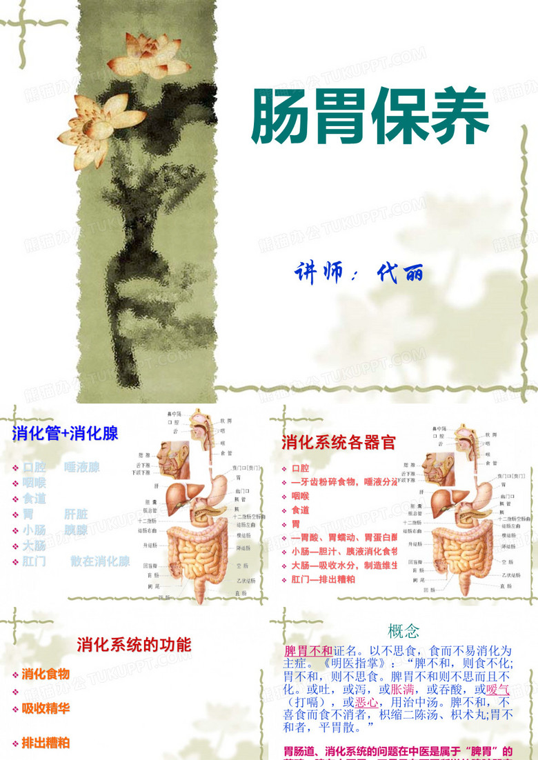 肠胃保养PPT模板下载 编号lzwozeoz 熊猫办公