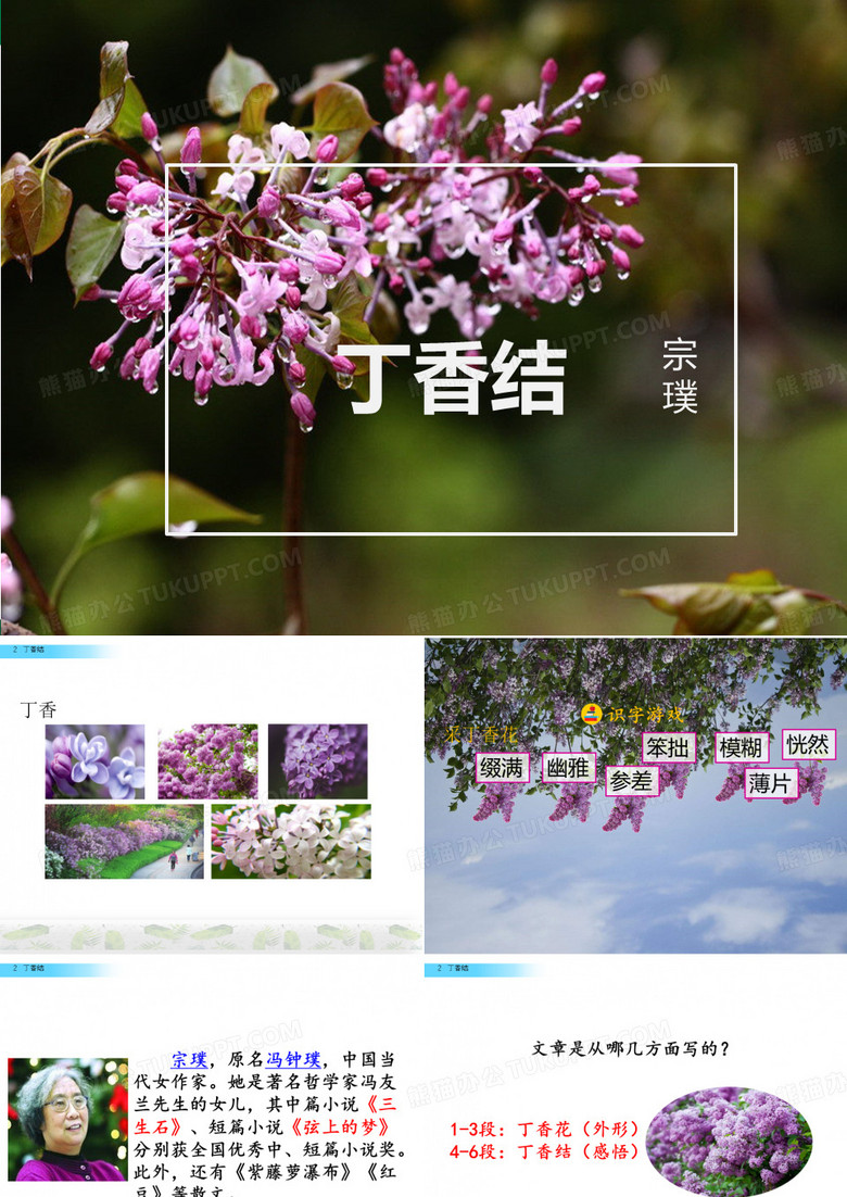 丁香结PPT模板下载 编号qvgorarv 熊猫办公