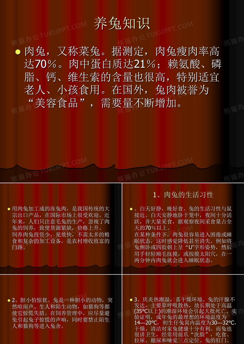 养兔知识PPT模板下载 编号qbyvrjrg 熊猫办公