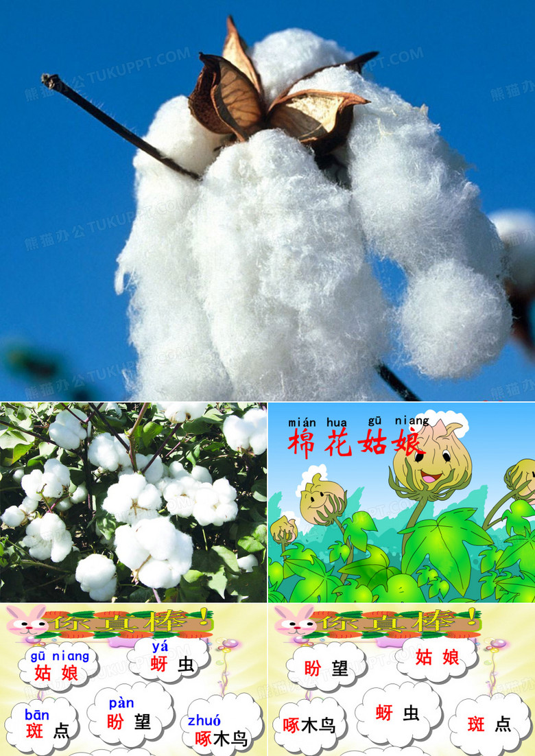棉花姑娘棉花姑娘PPT模板下载 编号laygmdbp 熊猫办公