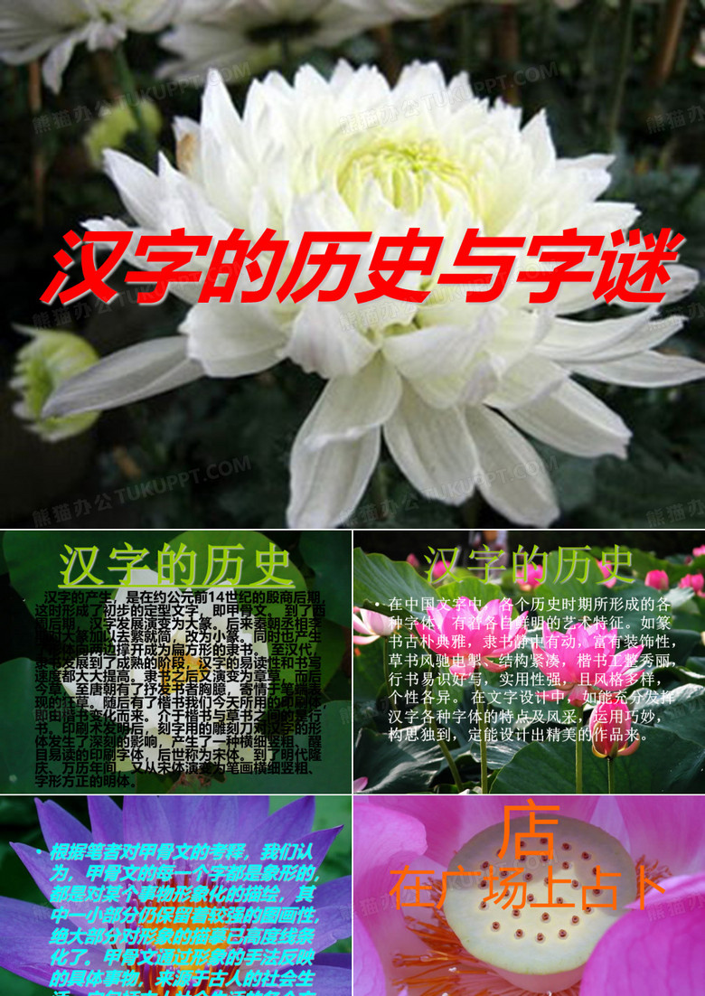 汉字的历史与字谜2PPT模板下载 编号lxgyzejm 熊猫办公