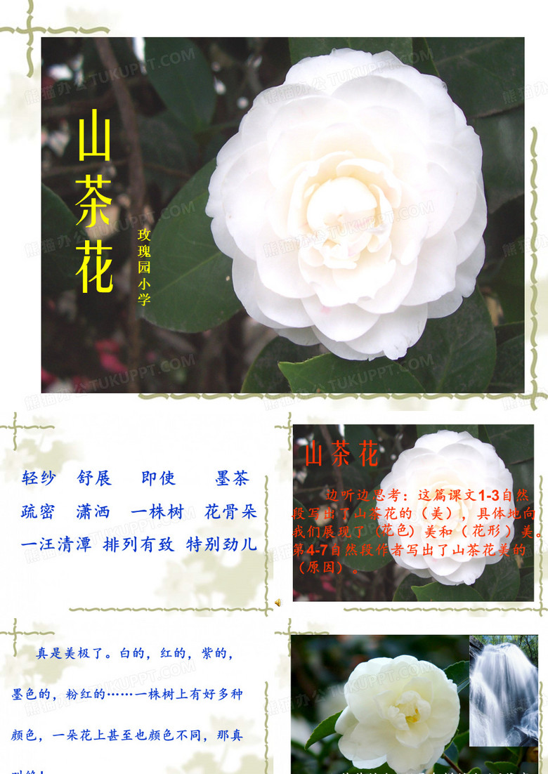 山茶花PPT模板下载 编号lxgybjng 熊猫办公