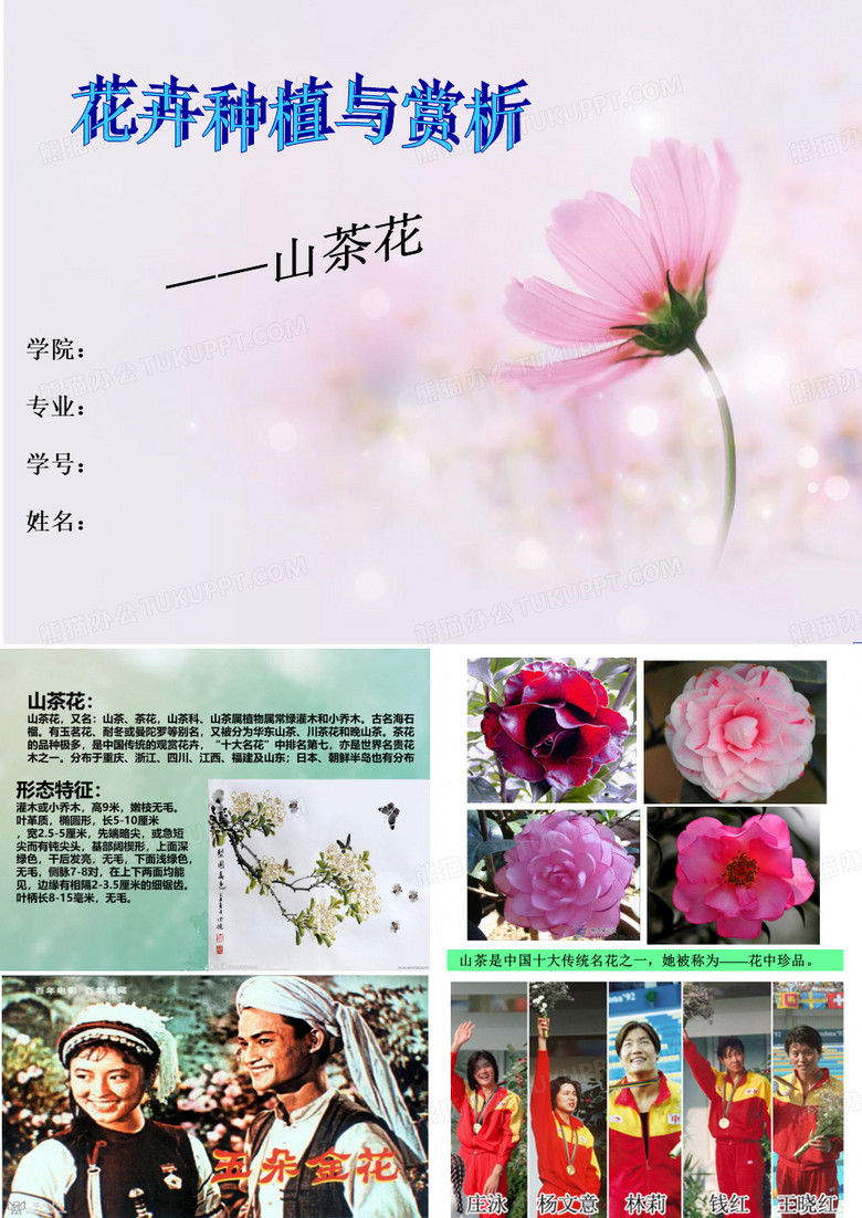 山茶花PPT模板下载 编号lkmxzkod 熊猫办公
