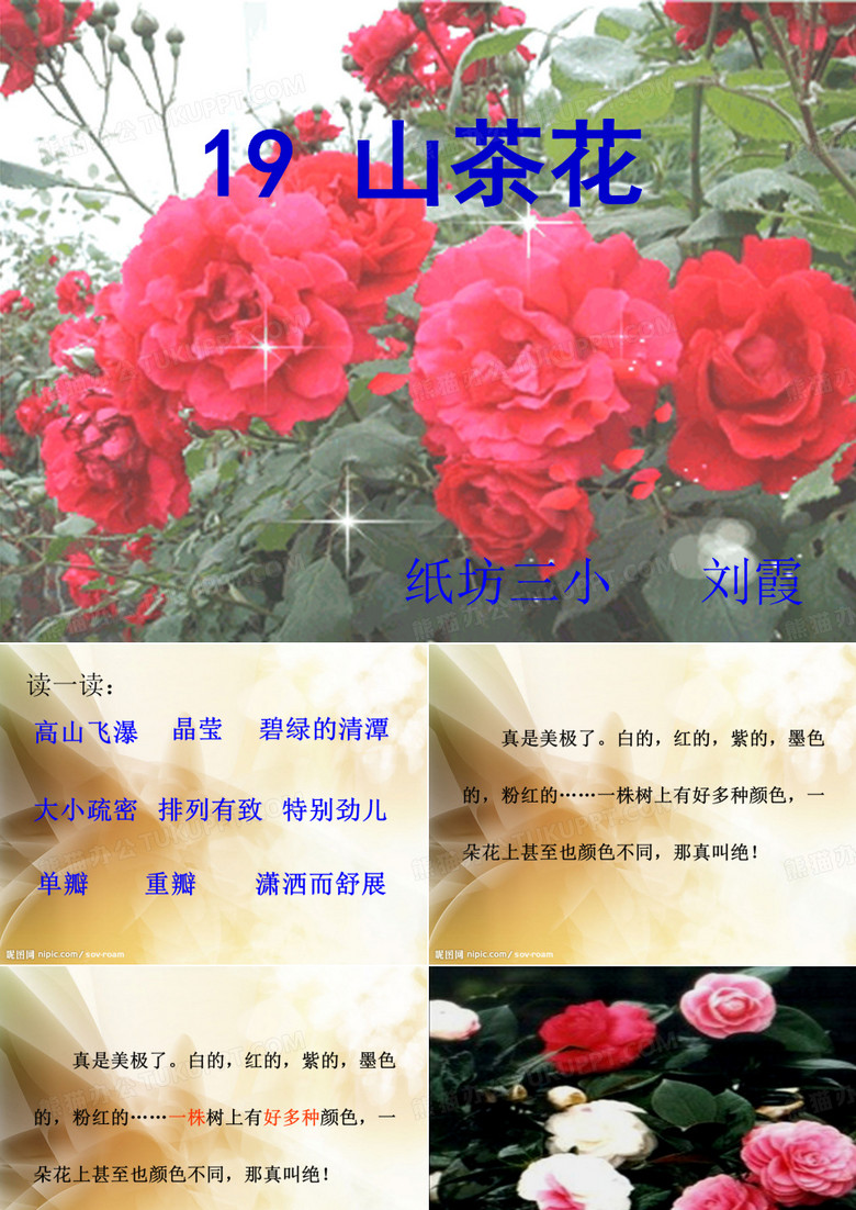 山茶花PPT模板下载 编号qdyjxanr 熊猫办公