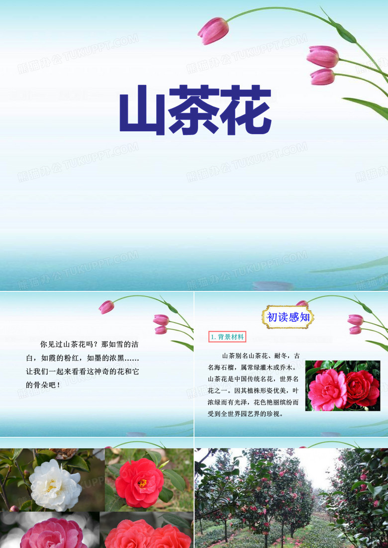 山茶花 完美 PPT模板下载 编号qmzrbeda 熊猫办公
