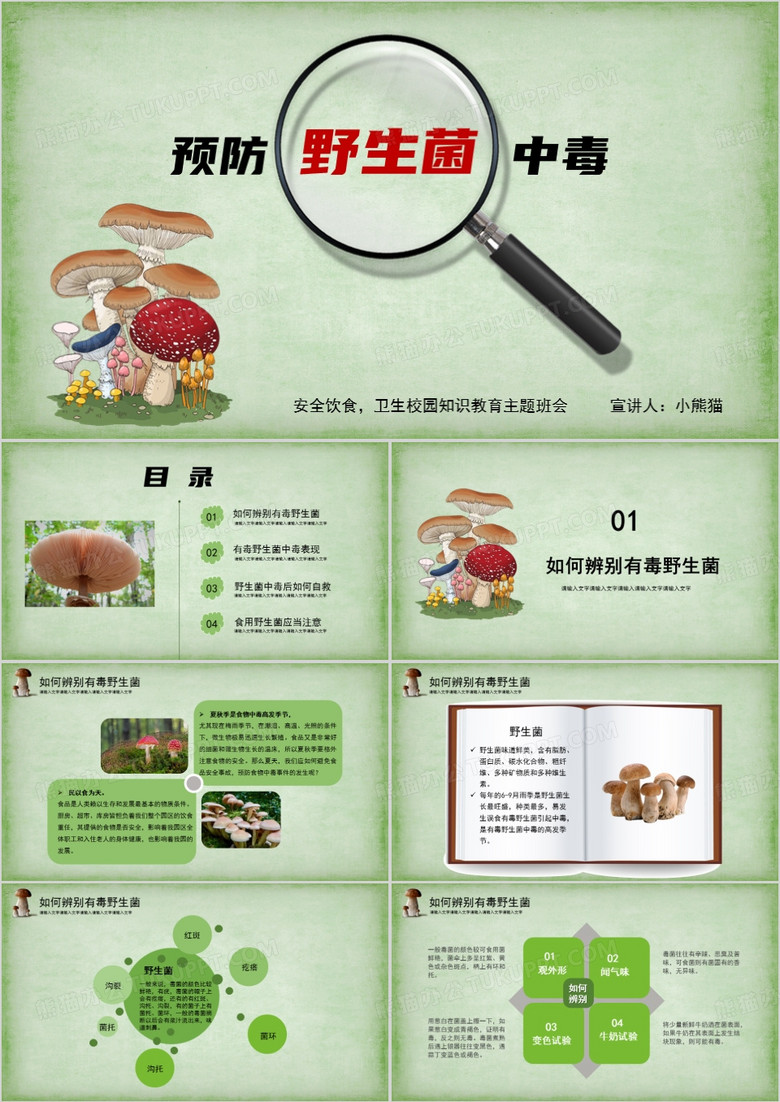 预防野生菌中毒教育主题班会PPT模板下载 熊猫办公