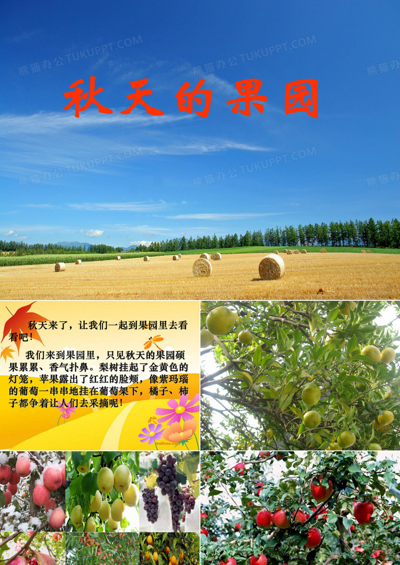 秋天的果园PPT模板下载 编号qzxrxjmk 熊猫办公