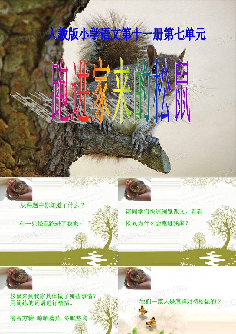 跑进家来的松鼠 课件PPT模板下载 编号qkzdyoky 熊猫办公