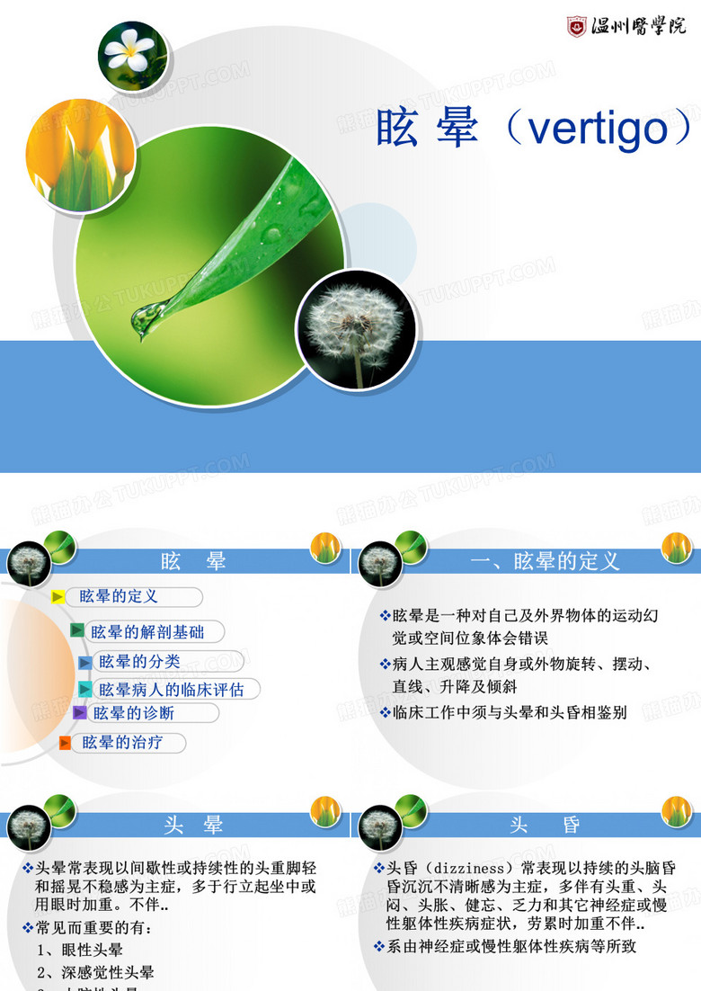 眩晕PPT模板下载 编号qrewgjrz 熊猫办公