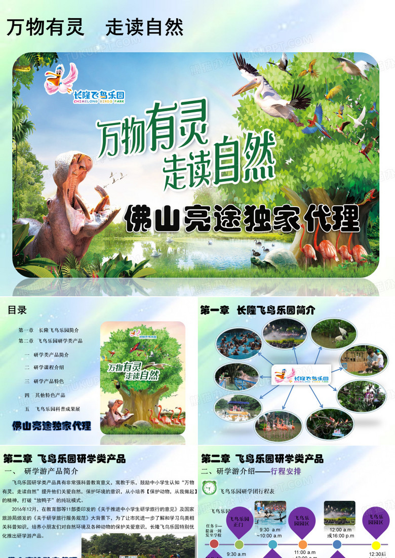 飞鸟乐园中小学生研学游 修改版 PPT模板下载 编号lwdrkjzj 熊猫办公