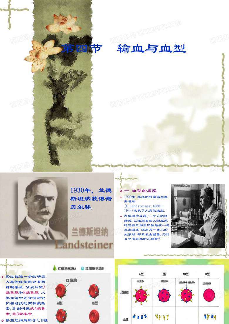 输血与血型PPT模板下载 编号lmbwyzbx 熊猫办公