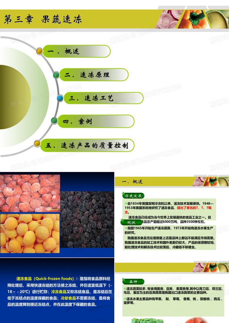 果蔬加工工艺学果蔬速冻PPT模板下载 编号qnkpwypg 熊猫办公