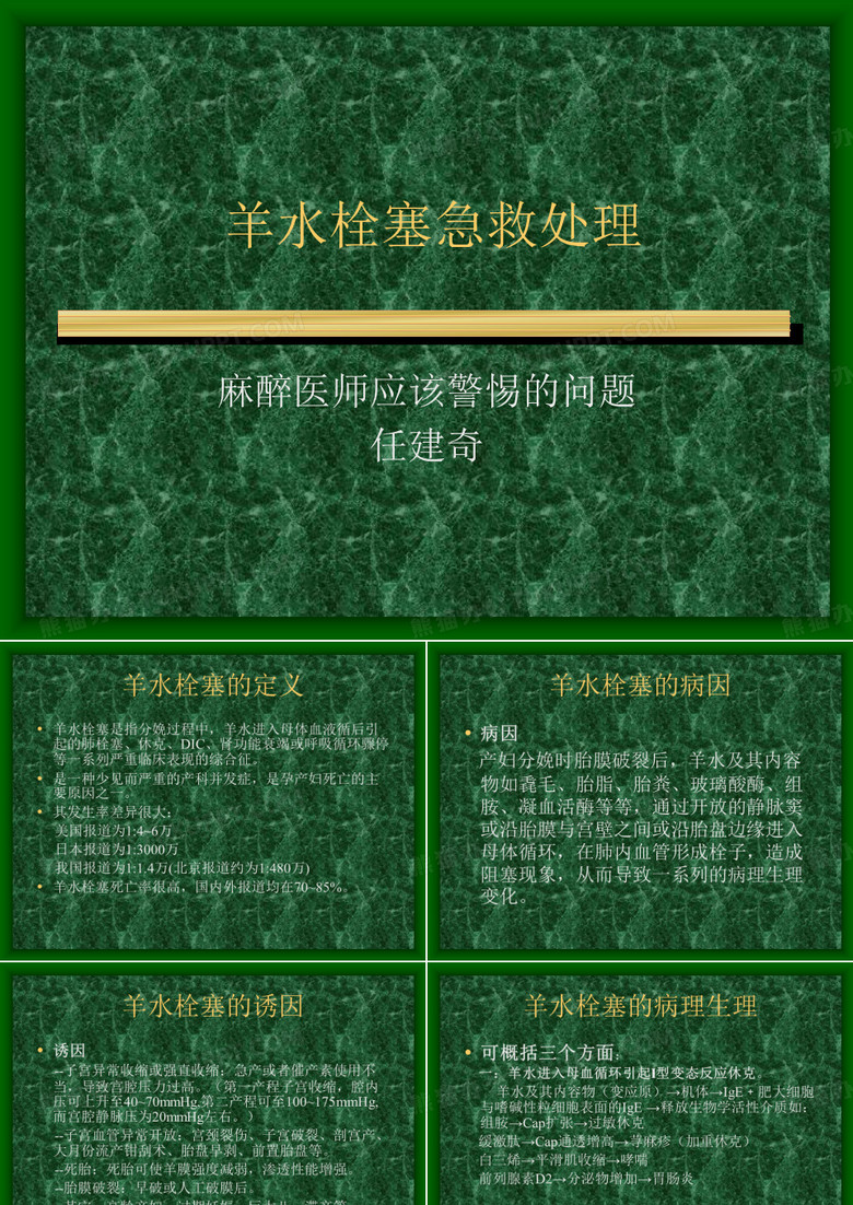 羊水栓塞PPT模板下载 编号qyebroxm 熊猫办公