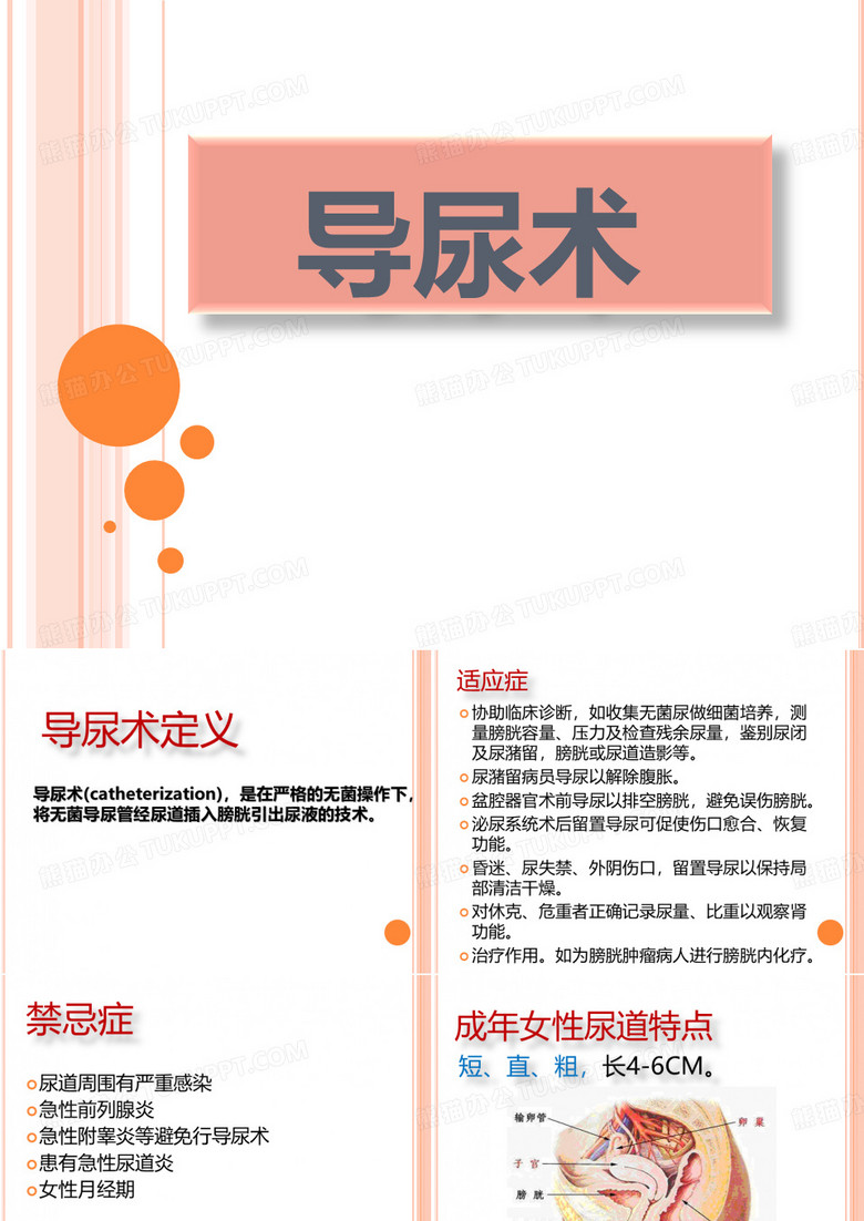 导尿术 课件PPT模板下载 编号qezvevez 熊猫办公