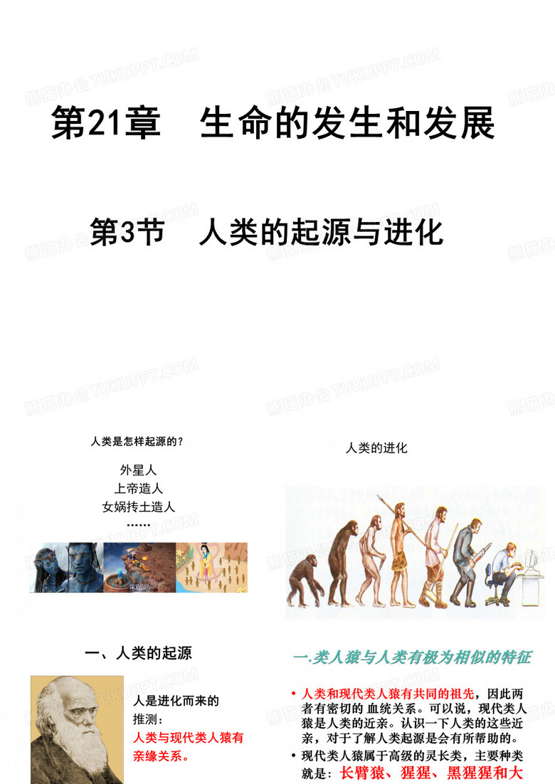 人类进化PPT模板下载 编号qgbgakwe 熊猫办公