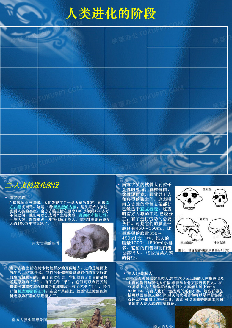 人类进化的阶段PPT模板下载 编号lkrwyevy 熊猫办公