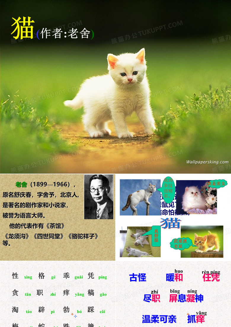 老舍猫PPT模板下载 编号qpmdwamp 熊猫办公