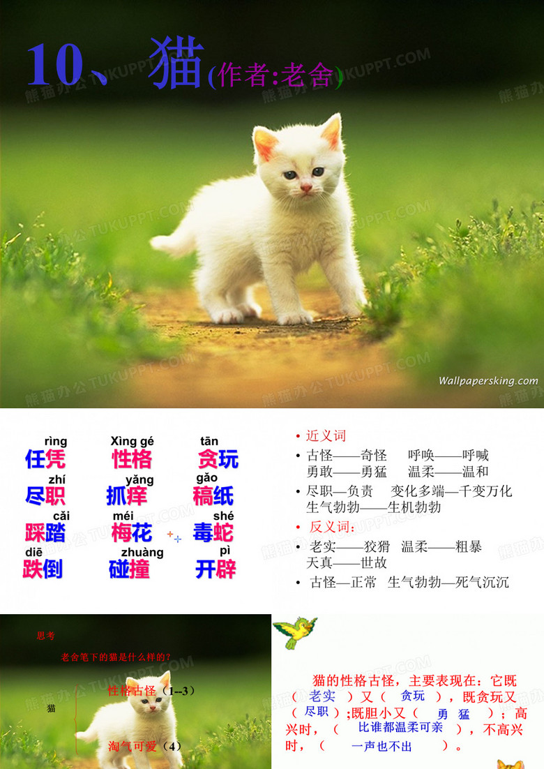 猫 老舍PPT模板下载 编号lapzndpg 熊猫办公