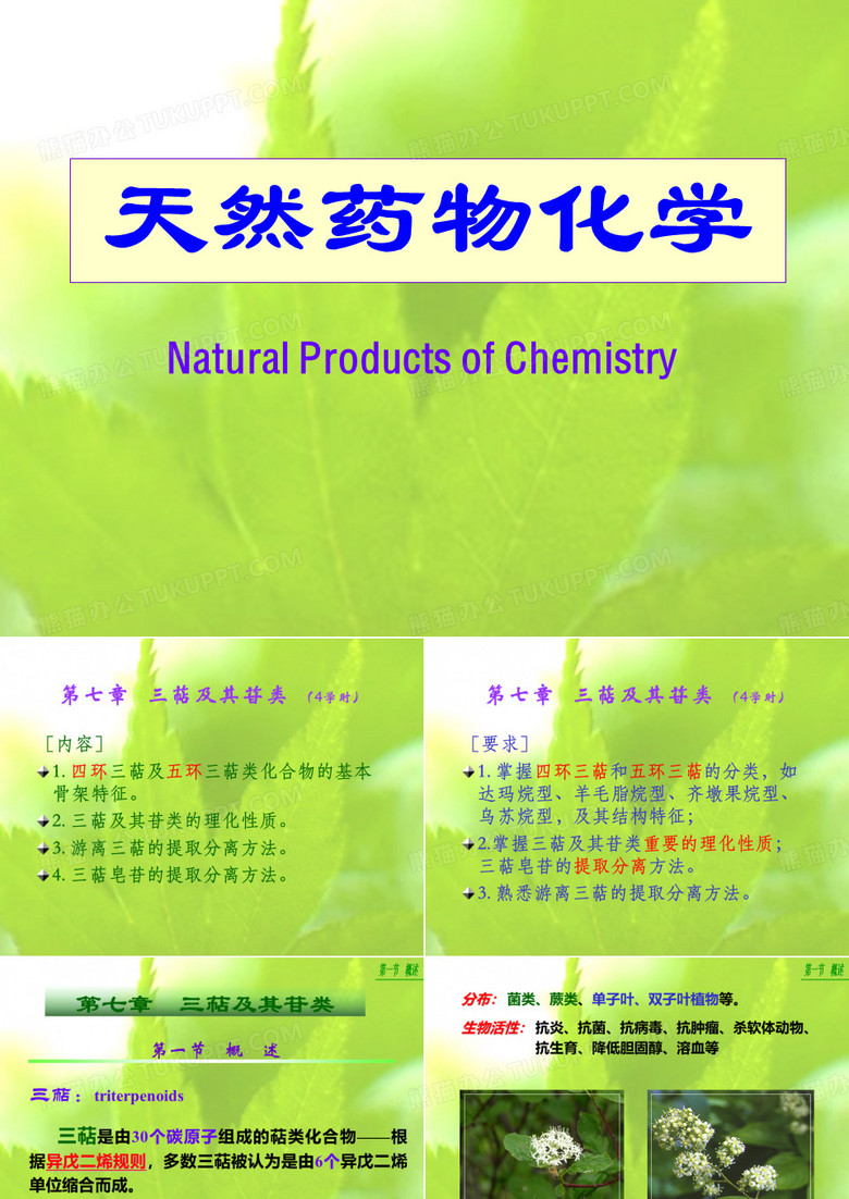 天然药物化学课件PPT模板下载 编号lojznkxv 熊猫办公