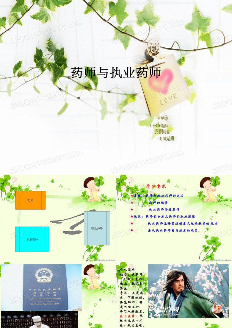 药师与执业药师课件PPT模板下载 编号lxrwapea 熊猫办公
