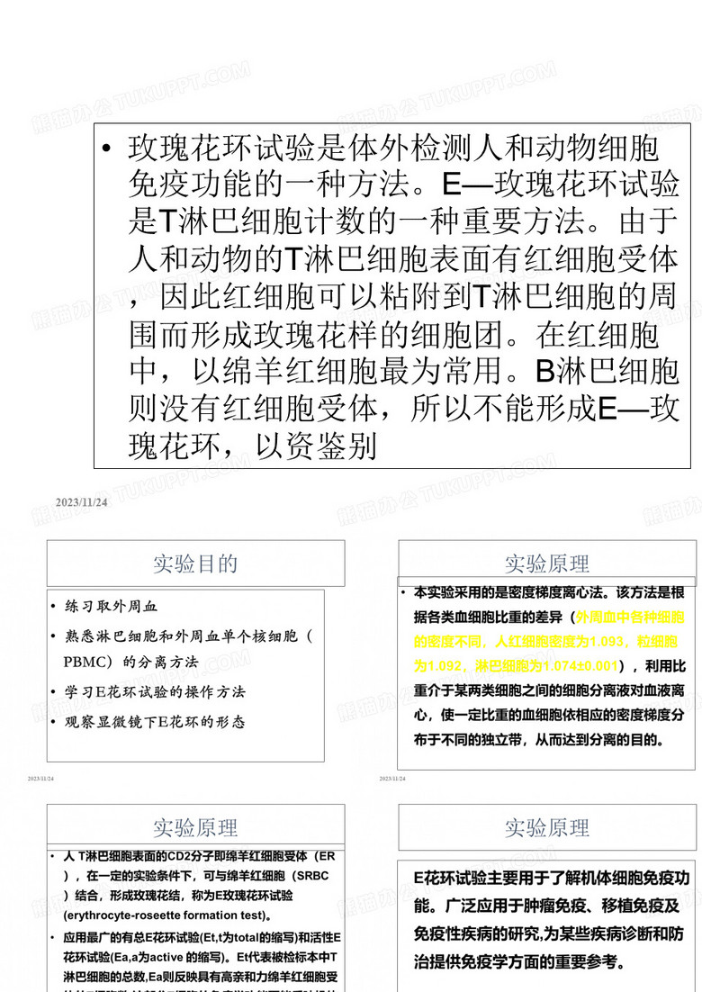 免疫学e玫瑰花环形成实验PPT模板下载 编号qzgjedxw 熊猫办公