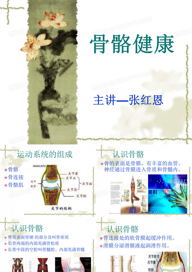 骨骼健康PPT模板下载 编号lwaepkrj 熊猫办公