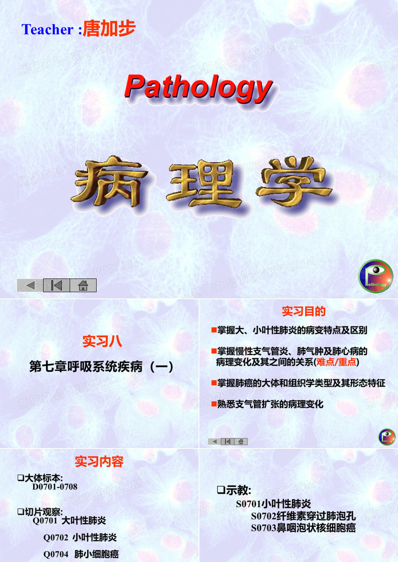 病理学PPT模板下载 编号lmgrvdae 熊猫办公