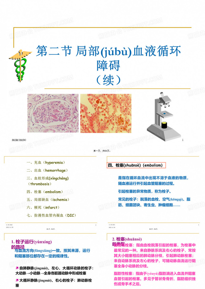 病理学 二 PPT模板下载 编号lapregbn 熊猫办公