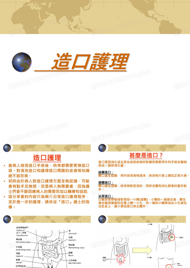 造口护理PPT模板下载 编号lojnxpno 熊猫办公