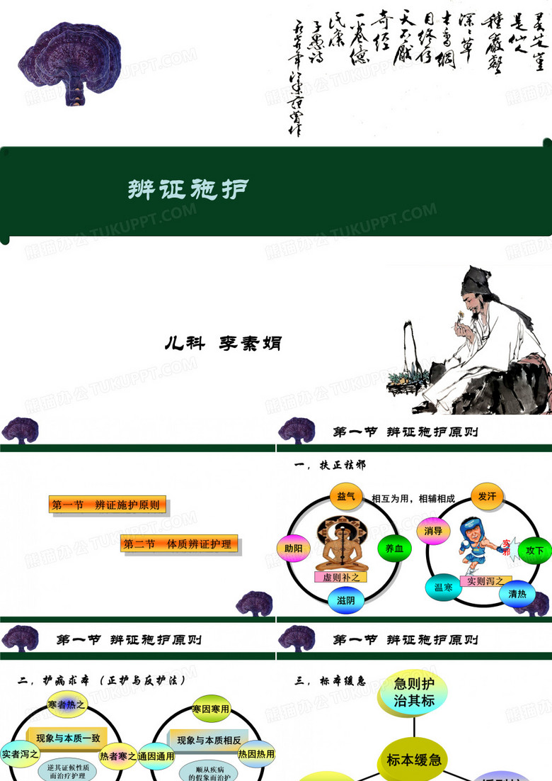 辩证施护PPT模板下载 编号qgxarwzv 熊猫办公