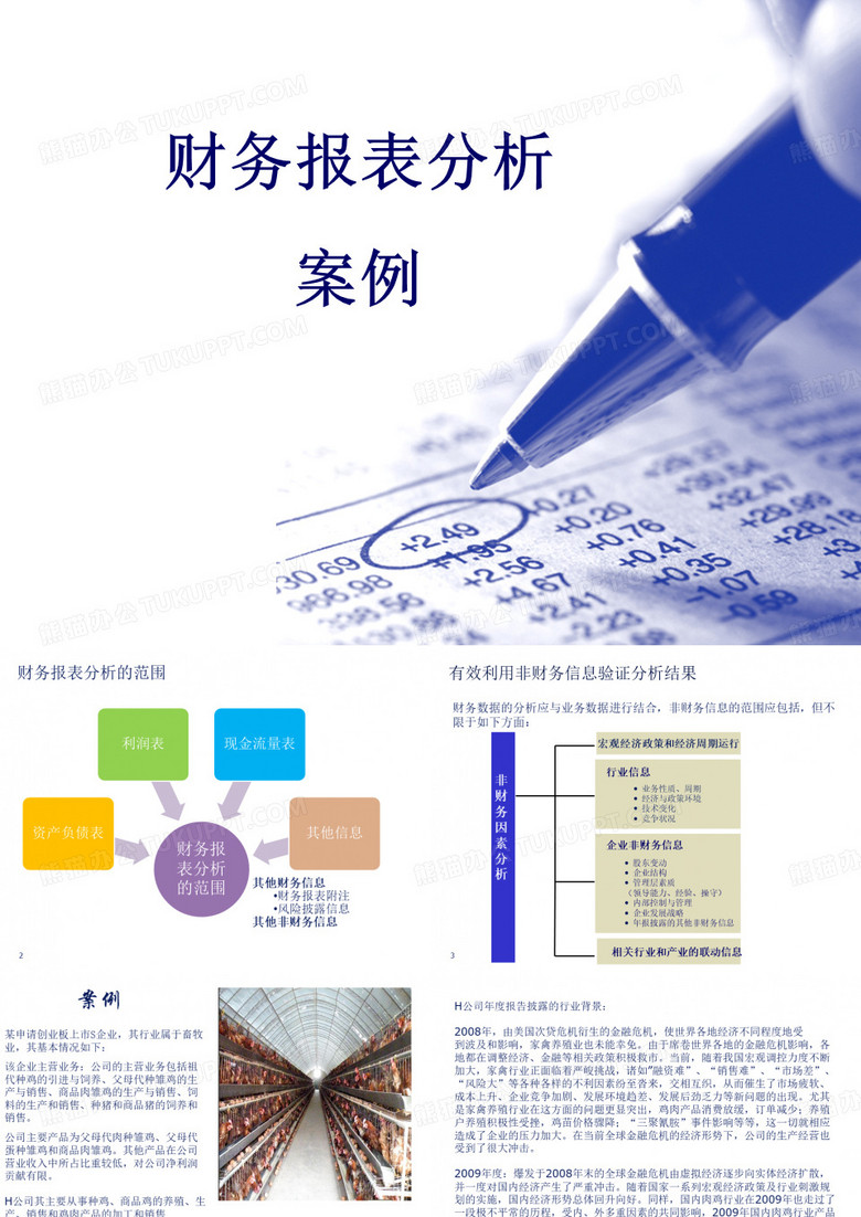财报分析案例PPT模板下载 编号lygwwgky 熊猫办公