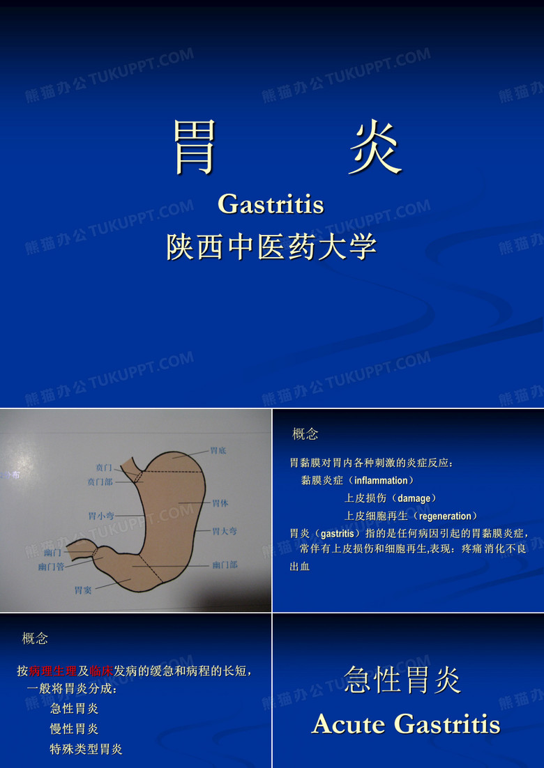 急慢性胃炎胃炎课件课件PPT模板下载 编号lzpwxvvz 熊猫办公
