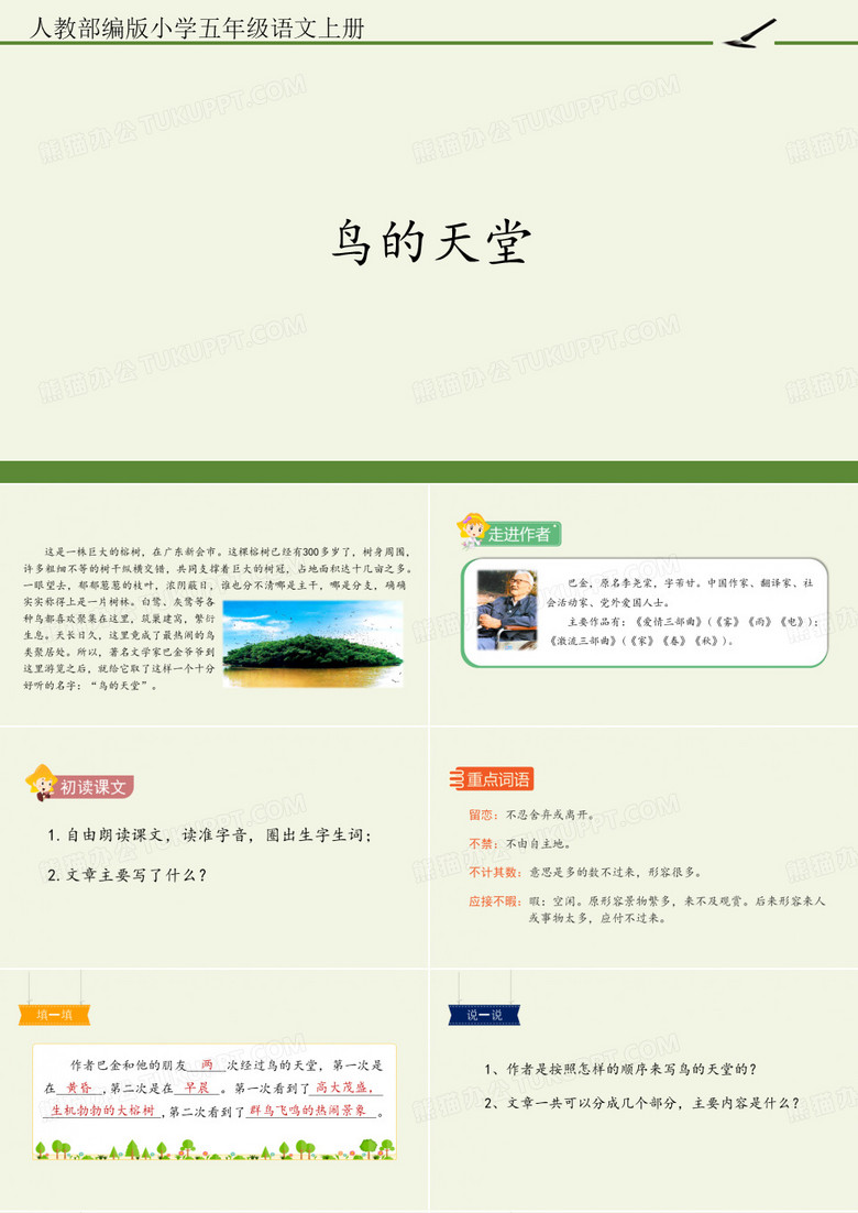 鸟的天堂PPT模板下载 编号qboybzne 熊猫办公