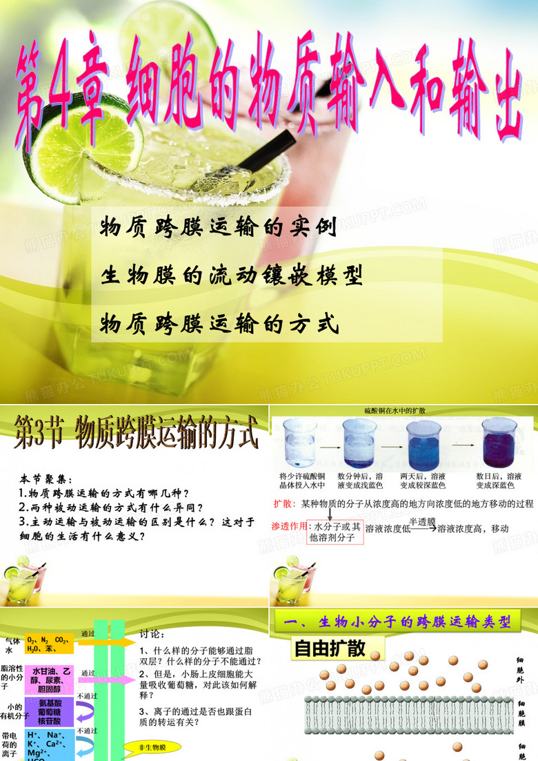 物质跨膜运输的方式PPT模板下载 编号lbojpnzo 熊猫办公