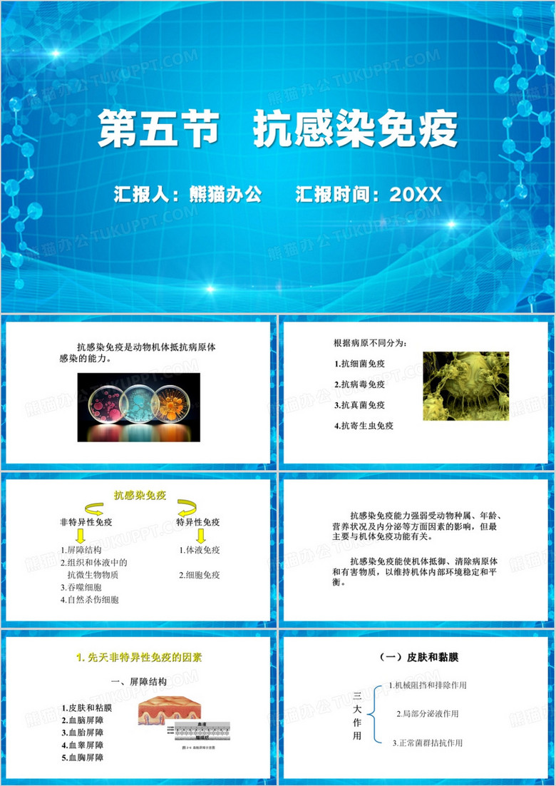 免疫系统抗感染免疫PPT模板下载 熊猫办公
