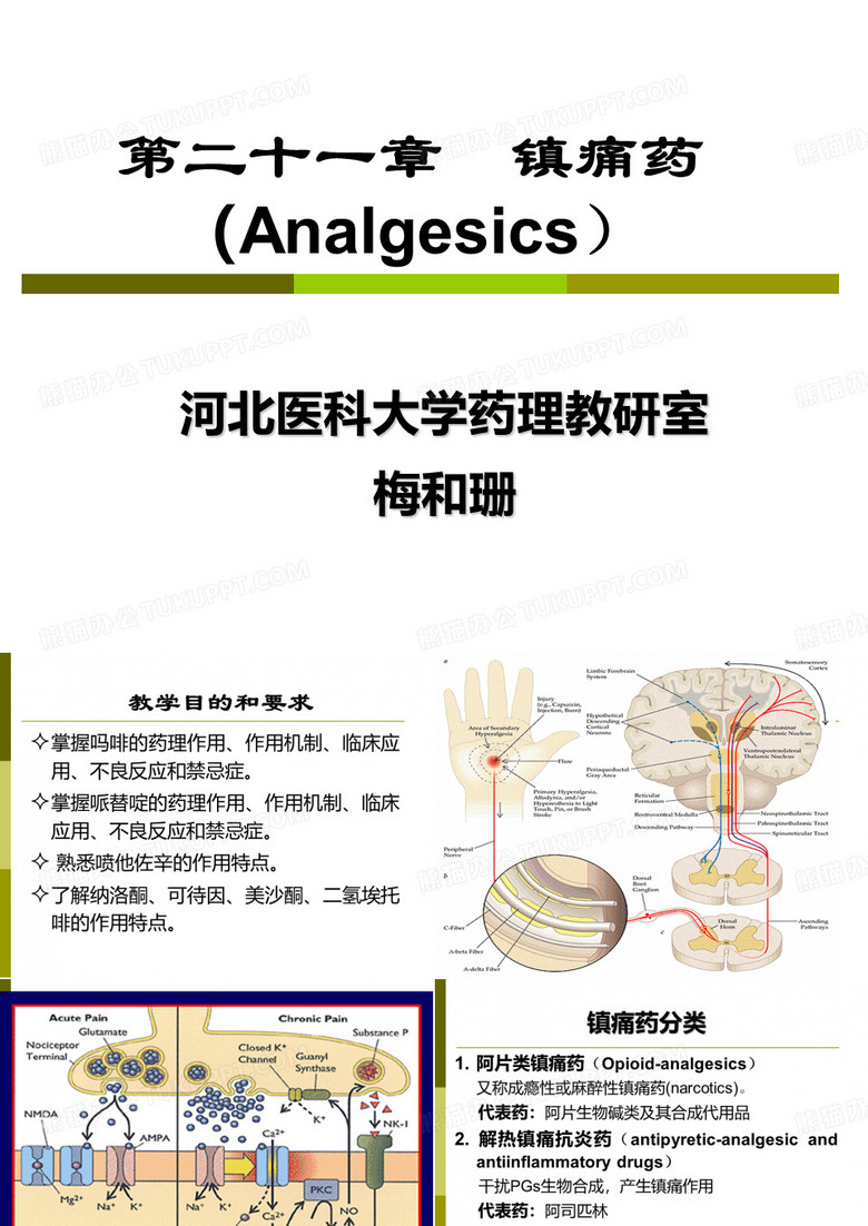 镇痛药PPT模板下载 编号ljrbxrgv 熊猫办公