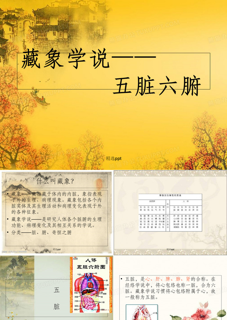 藏象学说五脏六腑PPT模板下载 编号qgkzjedp 熊猫办公