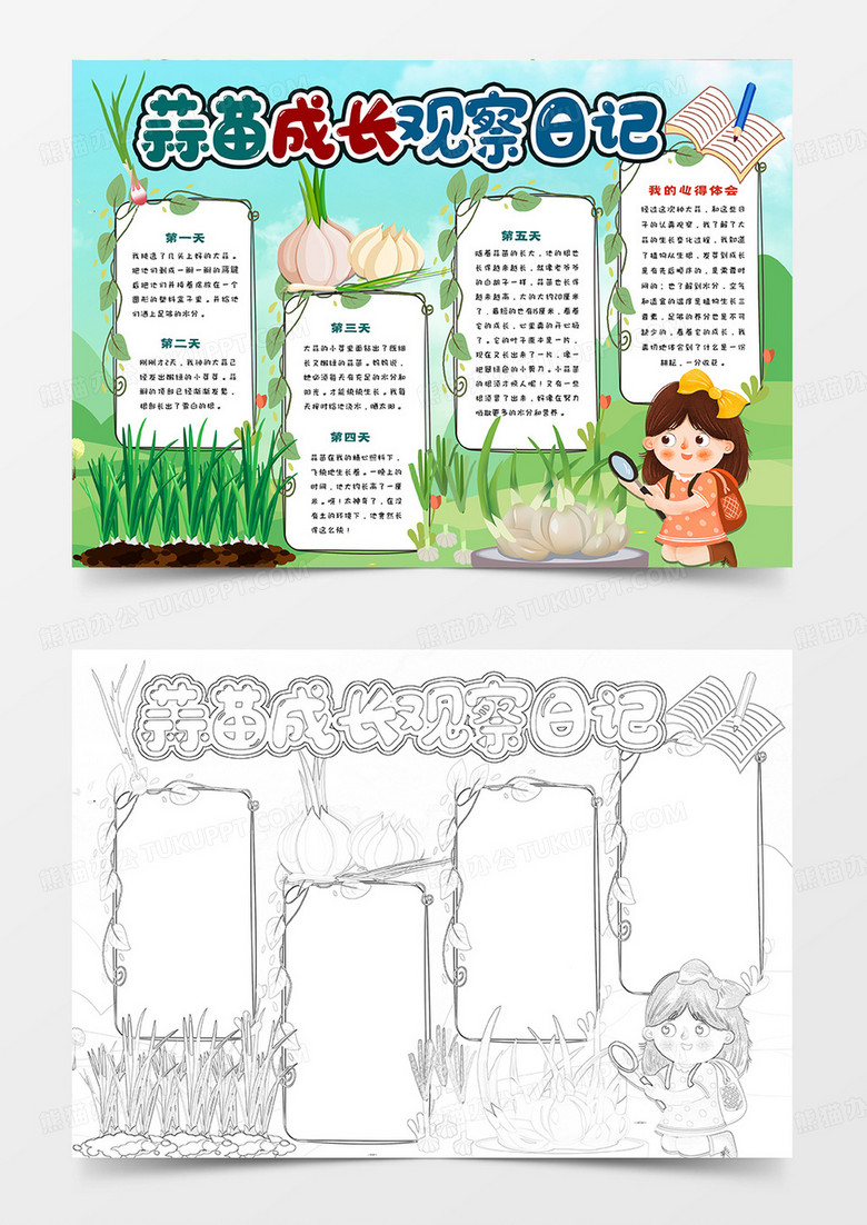 蒜苗成长观察日记Word模板下载 熊猫办公