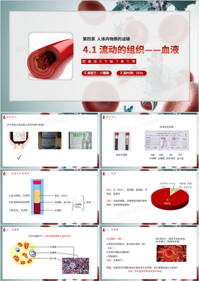 血液PPT模板 血液PPT模板下载 熊猫办公
